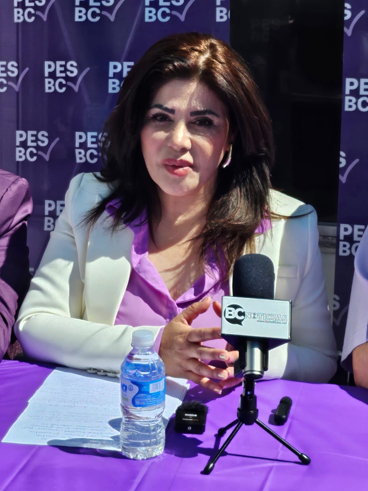 Edith Méndez Martínez será la candidata a la alcaldía de Ensenada - Ana ...